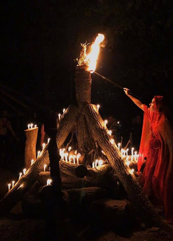 Autumn Fires - Wisteria