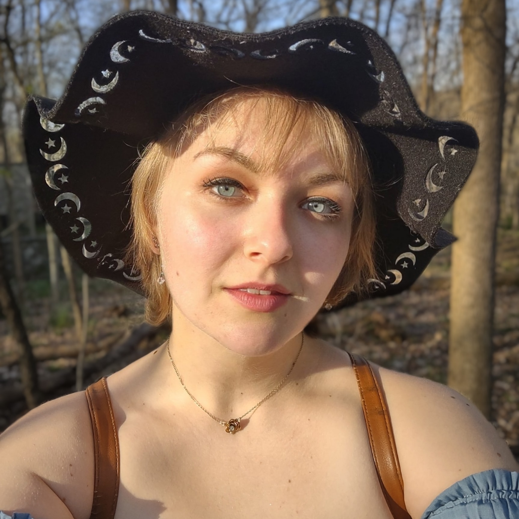 Autumn Fires - Wisteria